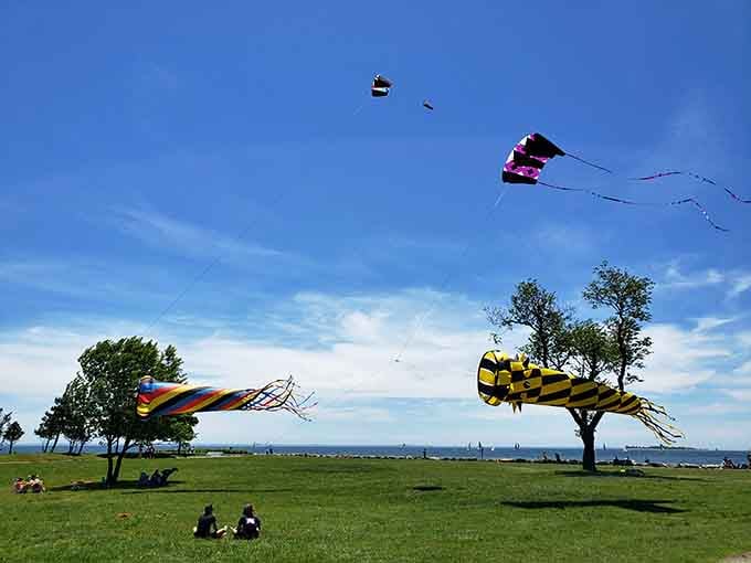 Kite festival or impromptu air show? These colorful flyers dance above picnickers in Connecticut's version of performance art.