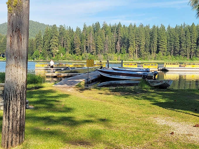 Boat dock perfection where adventures begin&mdash;like an aquatic train station where your ticket is simply the willingness to push off from shore.