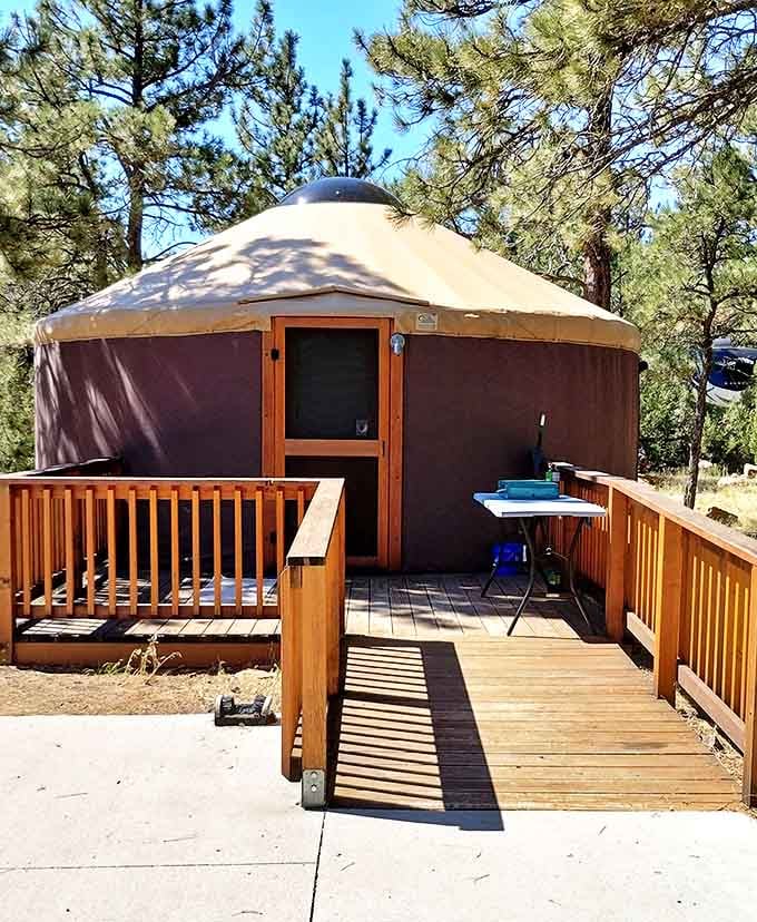 The yurt life chose me. Modern nomadic living with actual floors and walls&mdash;because sometimes nature is best appreciated from behind a door.