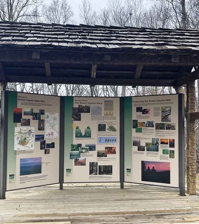 Knowledge center in the wilderness. These displays tell stories of glaciers, wildlife, and conservation efforts that shaped this natural masterpiece.