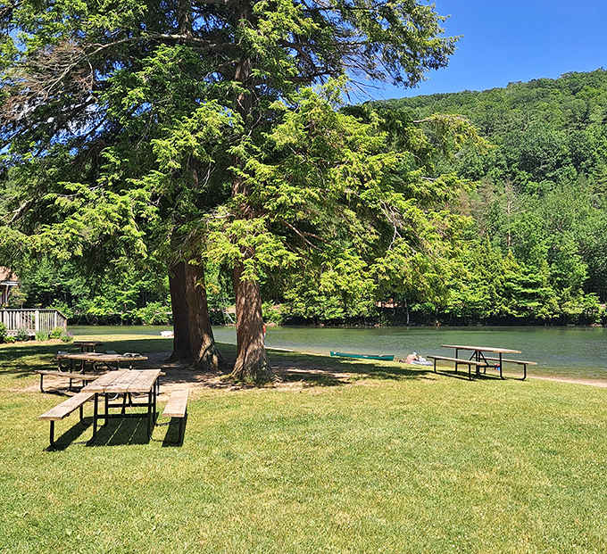 Picnic tables with million-dollar views&mdash;somehow your sandwich always tastes better when served with a side of serenity.