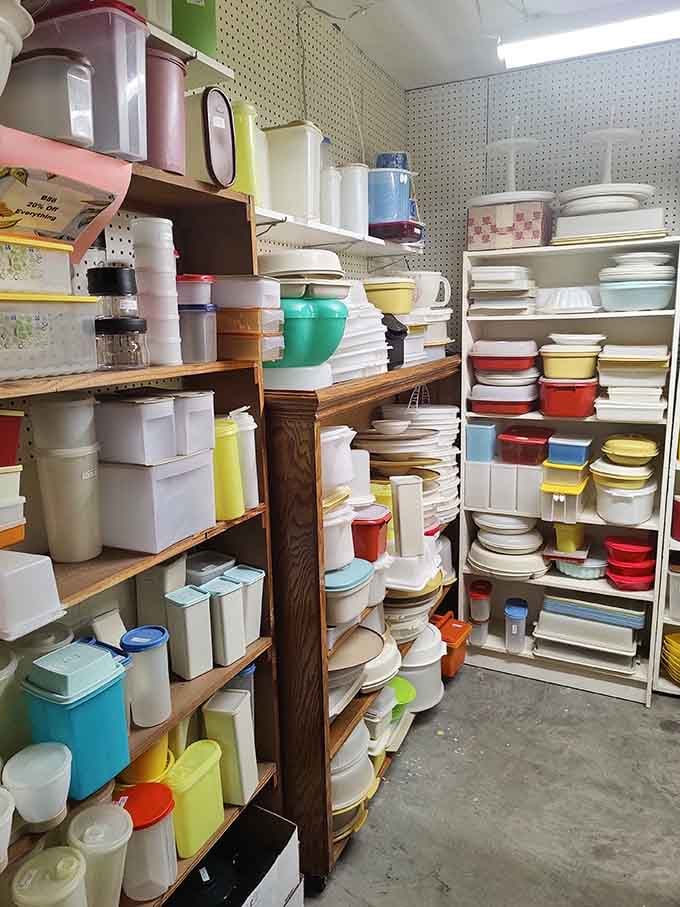 Tupperware in every pastel shade imaginable&mdash;because nothing says "I've got my life together" like perfectly organized leftovers from 1965.