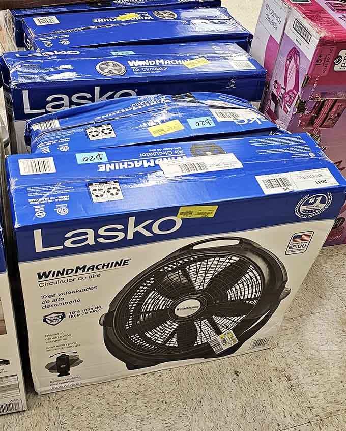 Fans and small appliances prove that staying cool doesn't require heating up your credit card with unnecessary debt.