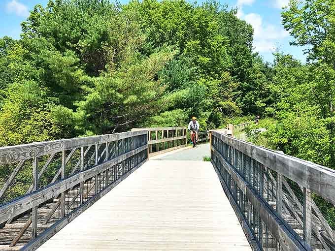 The Belfast Rail Trail offers peaceful water views without the huffing and puffing of steep hiking trails. Nature's version of a gentle treadmill.
