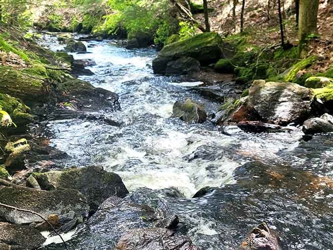 Forest streams tumbling over ancient rocks, providing the soundtrack to your escape from modern life.