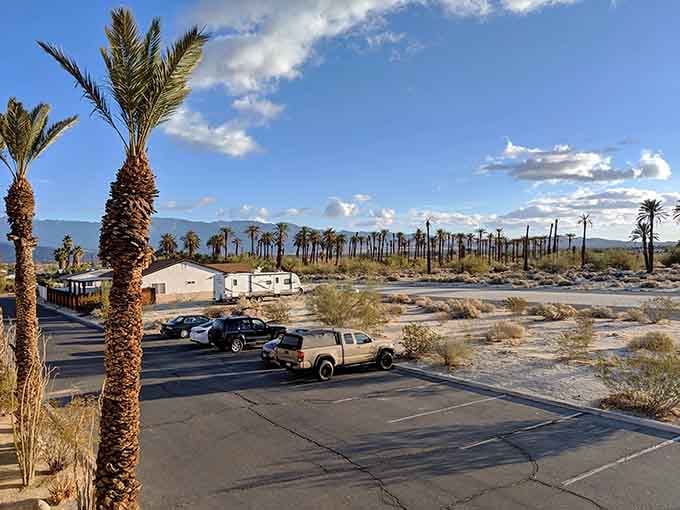 Palm trees frame the RV park and distant mountains like a postcard that somehow became three-dimensional reality.