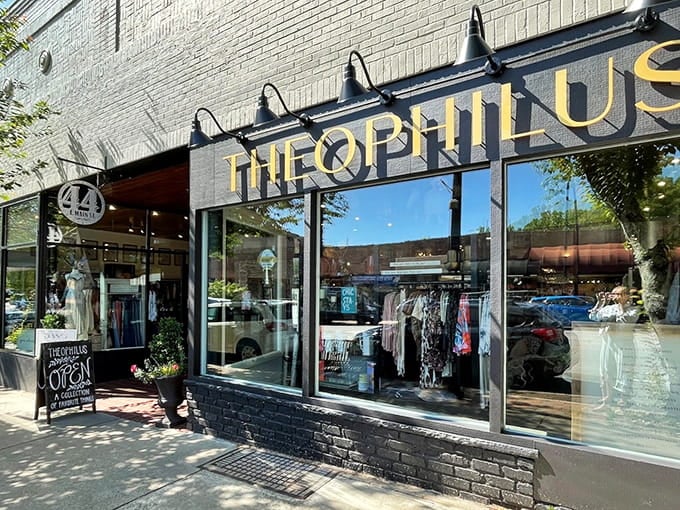 Theophilus storefront showcases the kind of independent retail that makes downtown browsing an actual adventure rather than a chore.