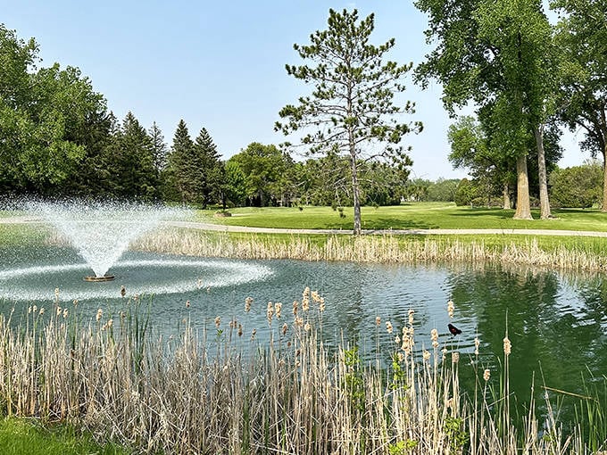 Brooktree Golf Course offers emerald fairways and serene water features that make even a triple bogey feel like time well spent in Minnesota's great outdoors.