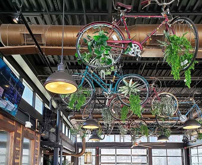 Vintage bicycles suspended from the ceiling create an unexpectedly whimsical garden, where wheels meet ferns in perfect harmony.