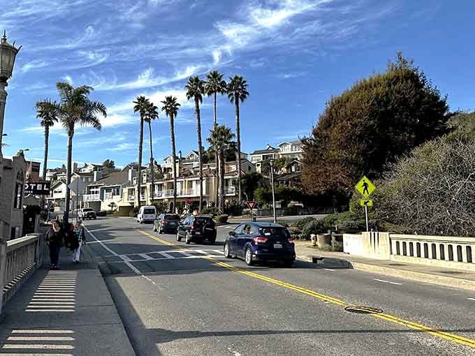 Palm trees sway above the main street leading to the beach, making every drive feel like vacation.