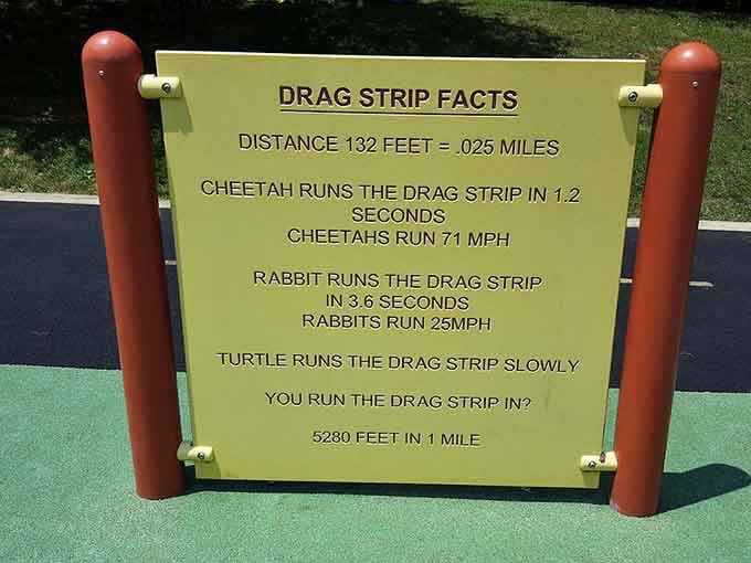 Educational and entertaining, because why shouldn't kids learn physics while racing imaginary cheetahs down the track together?