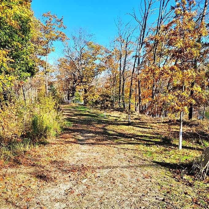 This leaf-strewn trail invites exploration without an admission fee &ndash; nature's budget-friendly entertainment system at its finest.