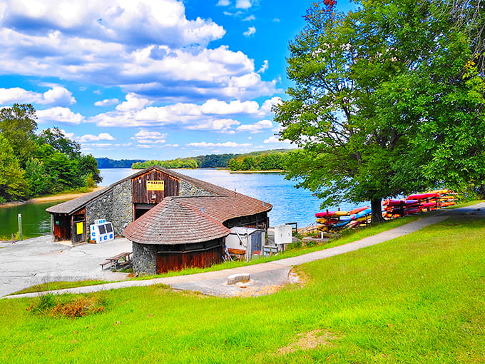 The marina's colorful kayaks wait patiently, ready to turn your weekend into an actual adventure story.