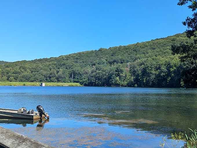Glassy waters reflect the forest like nature's mirror, perfect for a peaceful paddle or fishing expedition.