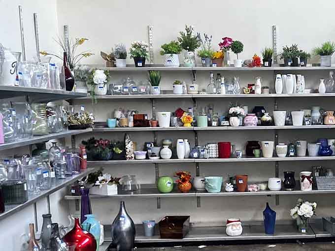 Vases and decorative pieces that'll make your home look like you hired an interior designer instead of a thrift store.