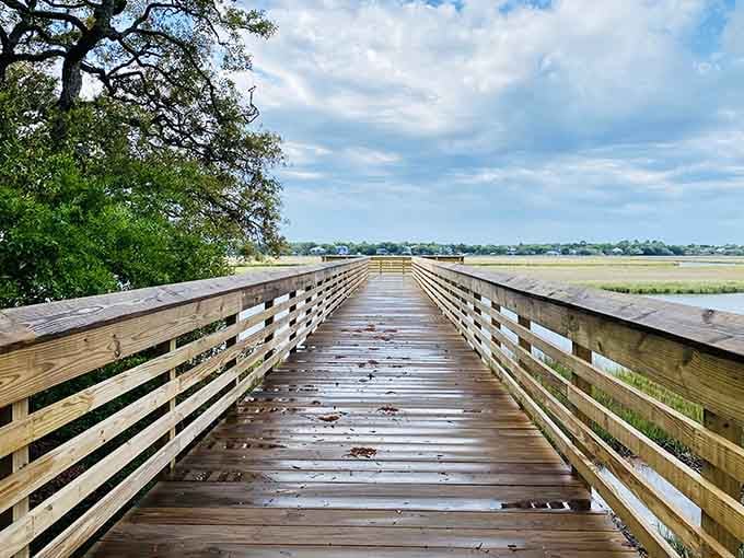 The boardwalk stretches across the marsh like nature's own highway, offering views that'll fill your camera roll fast.