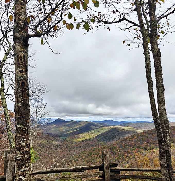 Framed by birch trees, the mountain vista becomes a living painting that changes with every season.