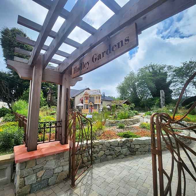 Hartley Gardens welcomes visitors to pause, breathe deeply, and remember that flowers exist beyond emojis.