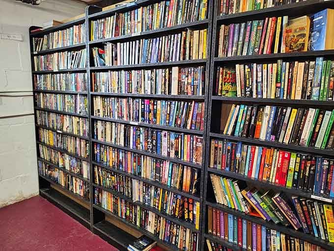 Graphic novels and contemporary fiction share space in perfect harmony, proving all stories deserve equal shelf respect.