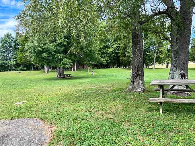 Shaded picnic tables under mature trees offer parents a front-row seat to all the action.