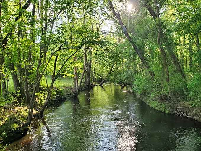 Hitchcock Creek flows peacefully through dappled sunlight, nature's reminder that serenity doesn't require a spa membership or meditation app.