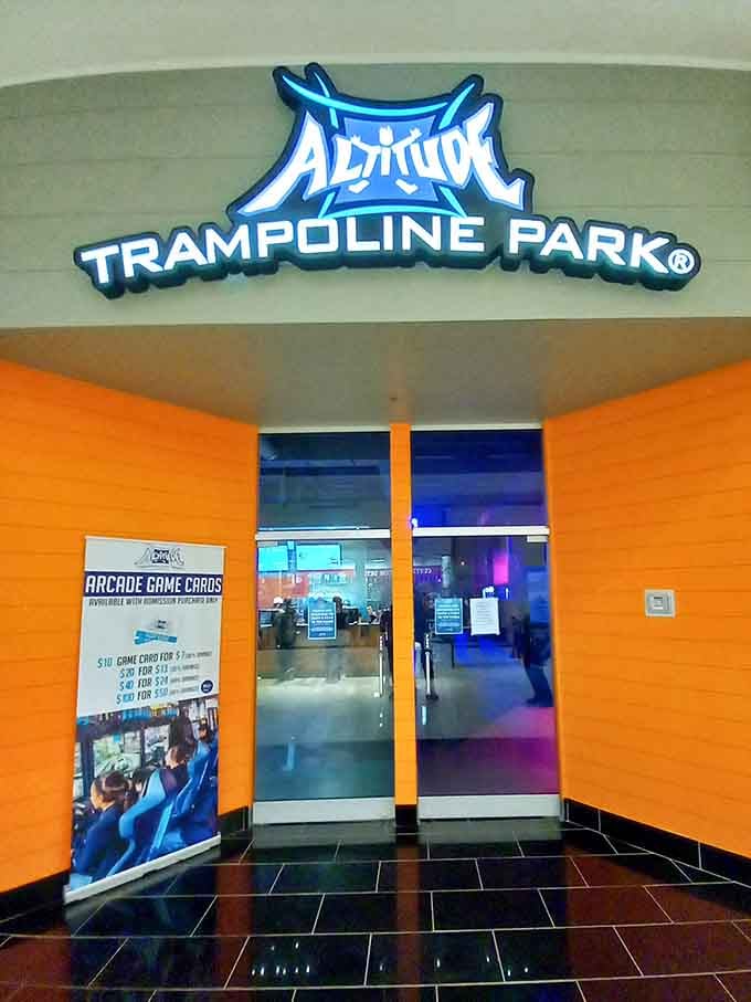 Altitude Trampoline Park: where gravity becomes optional and adults remember what fun feels like.
