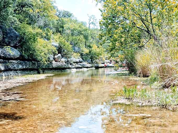 Peaceful creek waters wind through the property, offering quiet moments that feel increasingly rare in modern life.
