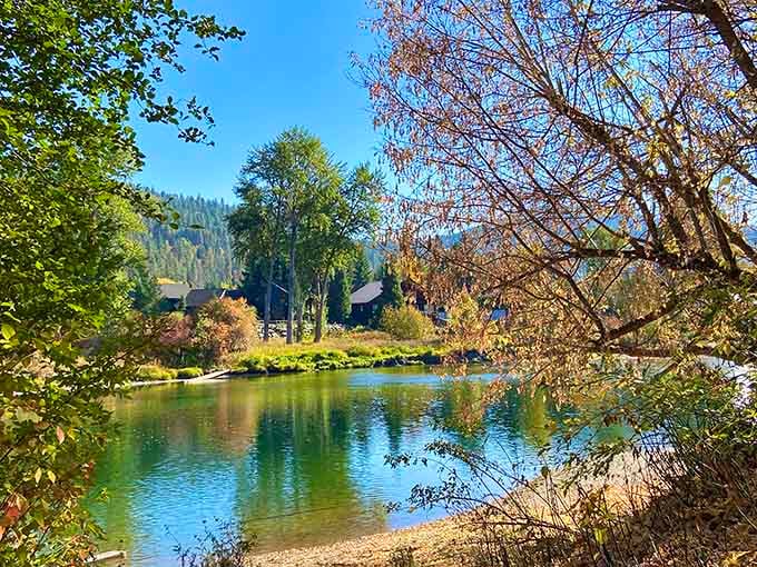 Waterfront Park provides serene river views, perfect for digesting all that schnitzel you just consumed downtown.