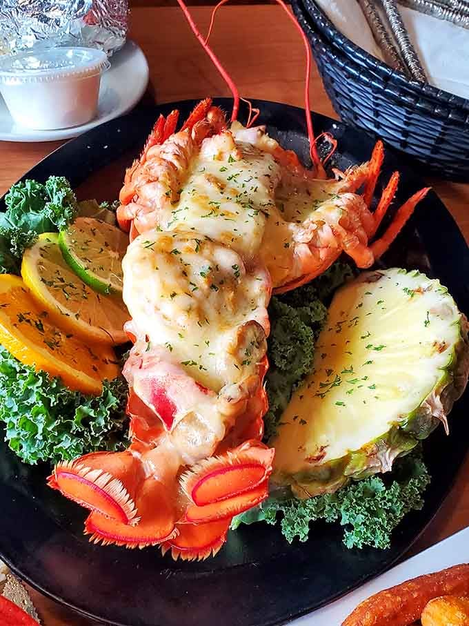 Lobster so perfectly prepared it deserves its own thank-you note. That melted cheese blanket isn't just topping&mdash;it's a warm hug for already-perfect seafood.