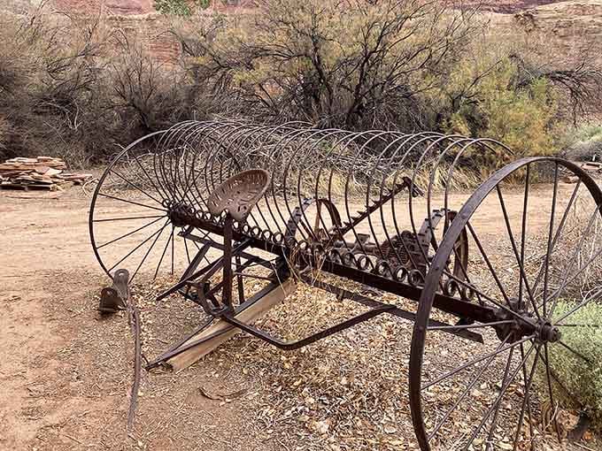 Antique hay rake with skeletal metal fingers that once turned desert grass into livestock feed through pure mechanical genius.