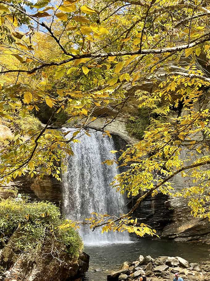 Golden leaves and cascading water create the kind of postcard scene that makes you forget your phone exists.