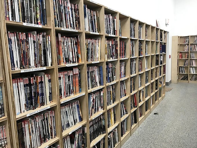 Comic book shelves overflow with graphic novels and manga, satisfying superhero fans and anime enthusiasts equally well.