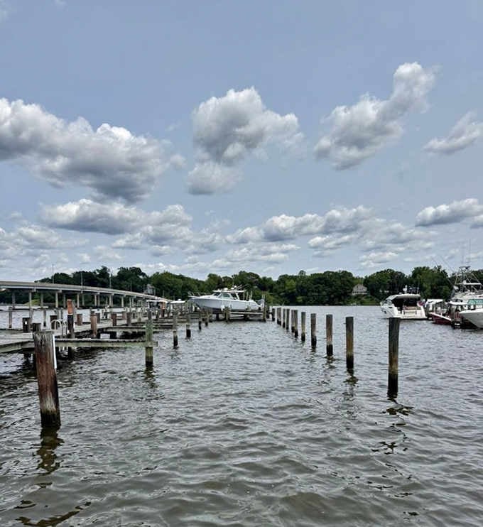Boat slips right at the restaurant mean some lucky folks literally sail up for dinner every time.