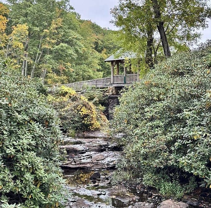 Rhododendrons frame the covered bridge in a scene so New England it practically serves clam chowder and demands proper pronunciation.