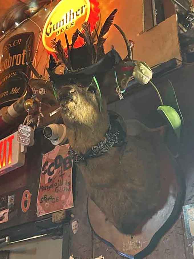 When taxidermied wildlife meets beer signs, you know you've found a place that truly commits to its aesthetic vision.