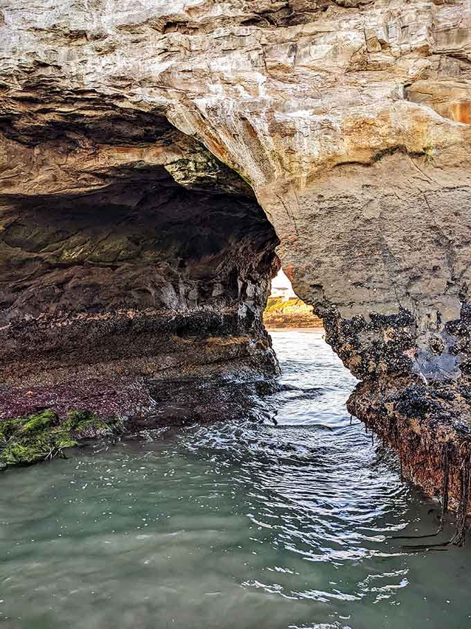 Up close, the sea arch reveals miniature caves and channels that water has been sculpting for millennia.