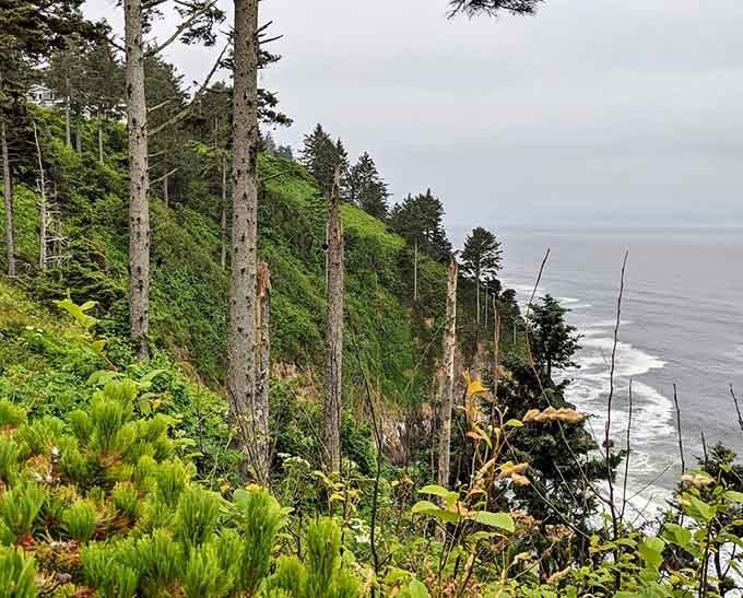 The living forest above watches over its ancient relatives below, a family reunion spanning millennia.