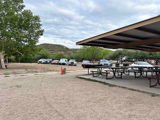 Covered picnic areas mean you can actually eat lunch outside without immediately regretting every life choice that led here.