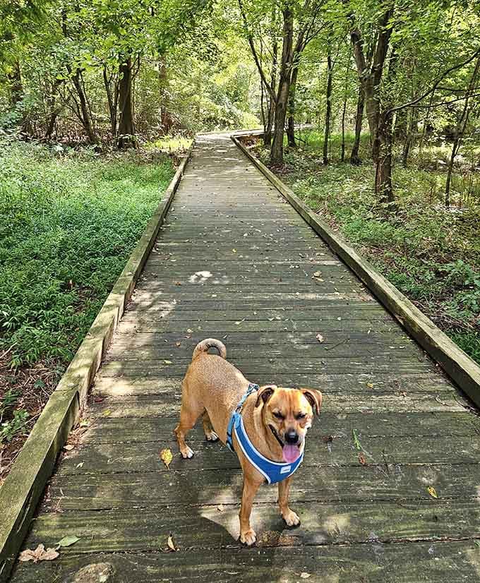 Even the four-legged visitors know this place is special, leading their humans to discover what tranquility actually feels like.