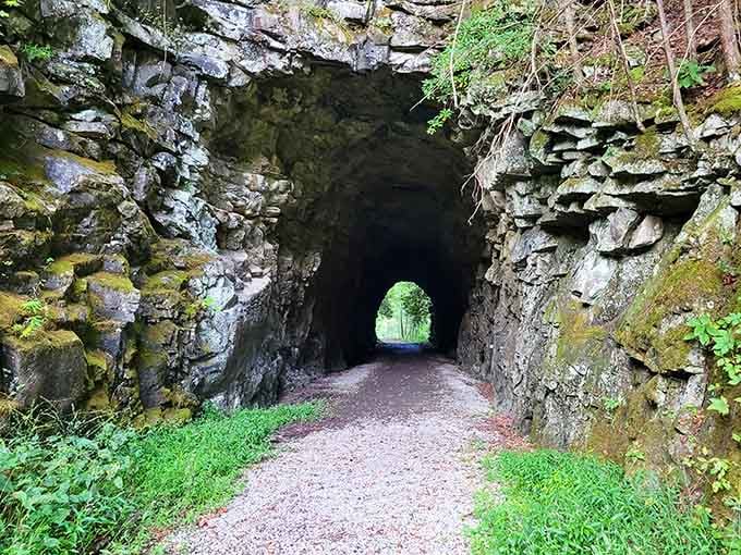 This tunnel through solid rock proves pioneers didn't mess around when they needed a path forward.