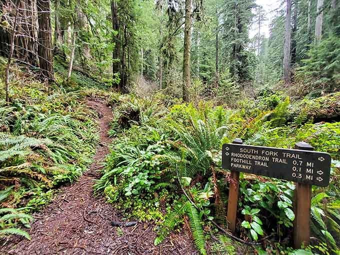 Trail signs pointing you toward adventures with names that sound like they belong in a fantasy novel.