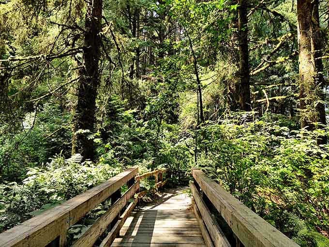 Wooden walkways wind through ferns and trees, leading you deeper into this delightfully absurd adventure.