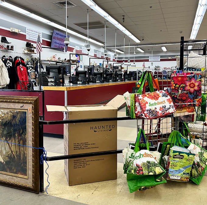 That checkout counter has seen countless treasures pass through, each one representing someone's perfect find of the day.