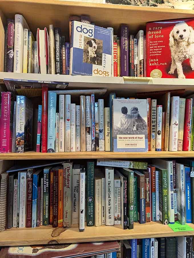 Dog lovers find their own special section, because books about our furry friends deserve dedicated shelf space.