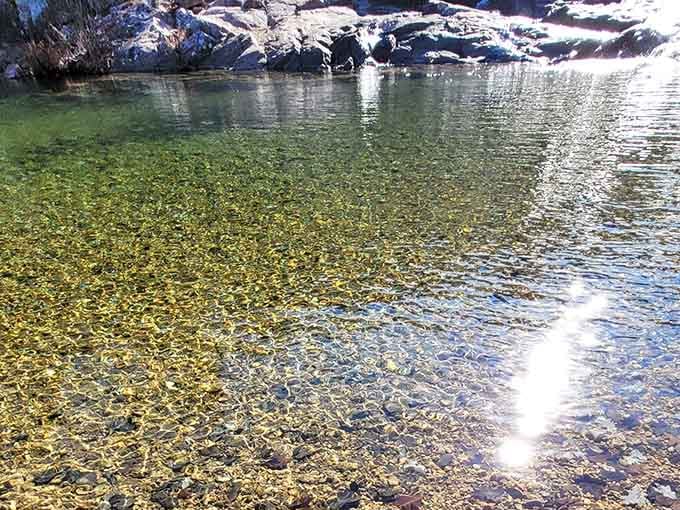 Sunlight dances across the shallow stream bed, illuminating every pebble in this pristine swimming spot.