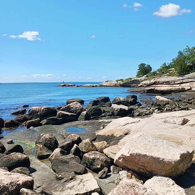 These rocky outcroppings prove that Connecticut's coastline has more personality than people give it credit for.