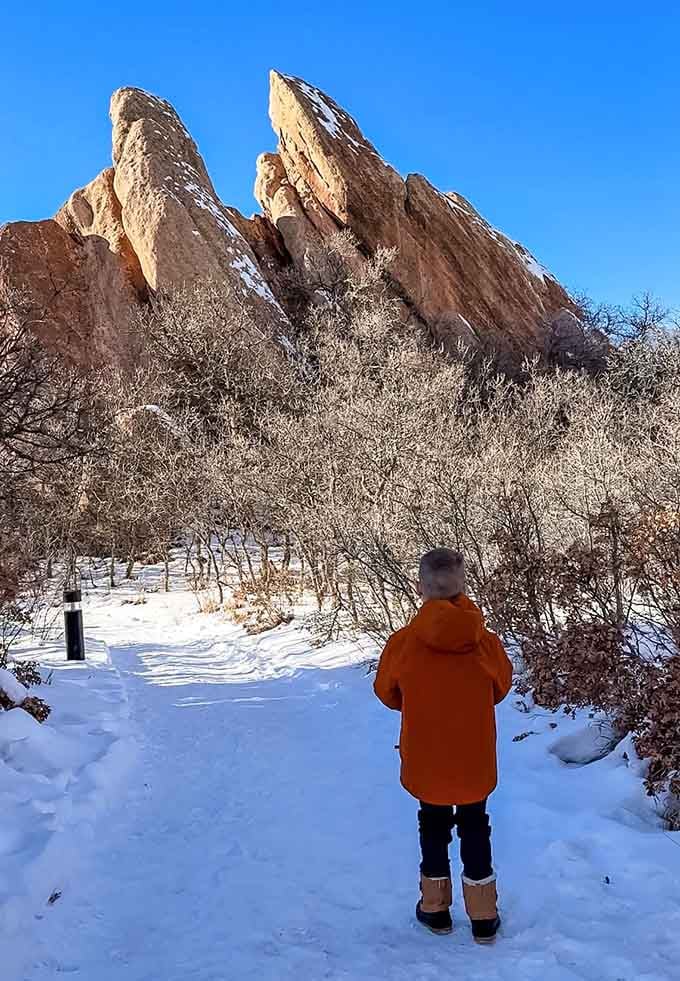 Young explorers discovering that nature's grandeur beats any video game when it comes to genuine wonder and excitement.
