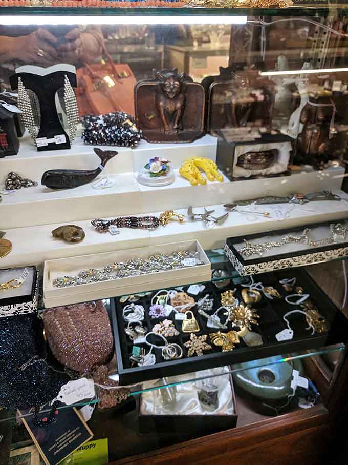 That jewelry case sparkles with decades of fashion history, from elegant brooches to statement pieces that tell stories.