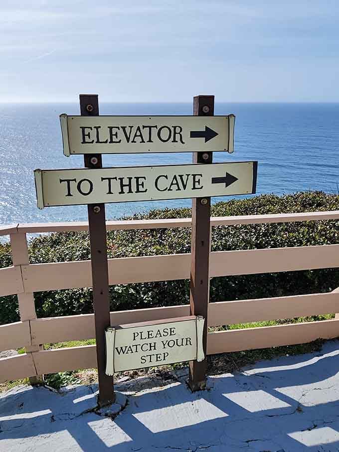 Follow the arrows to an experience you'll be describing to friends for years to come.