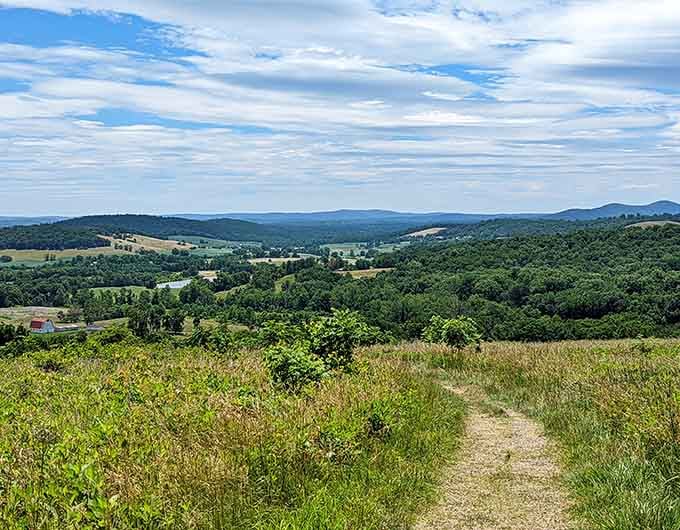 Panoramic vistas proving that the best things in life really are free.